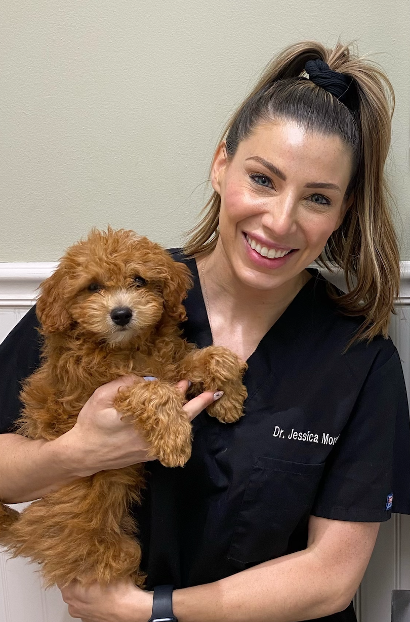 Meet Our Hillsborough Veterinarians - Well Pet